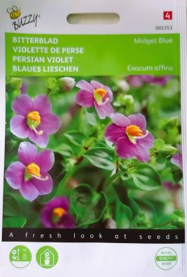 Persian Violet Midget Blue Seeds - Irish Plants Direct