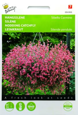 Silene Carmine Seeds - Irish Plants Direct