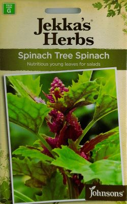 Spinach Tree Spinach Herb Seeds - Irish Plants Direct