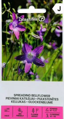 Spreading Bellflower Seeds - Irish Plants Direct