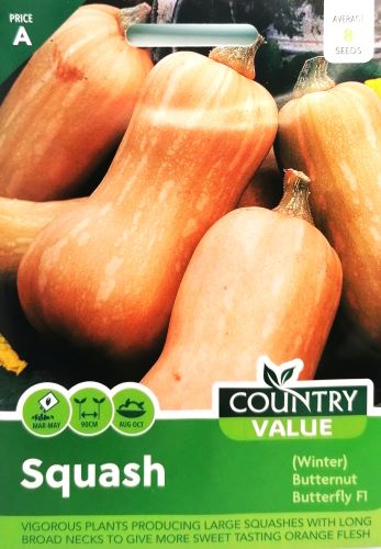 Squash Butternut Butterfly F1 Seeds - Irish Plants Direct