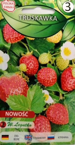 Strawberry Tresca Seeds - Irish Plants Direct