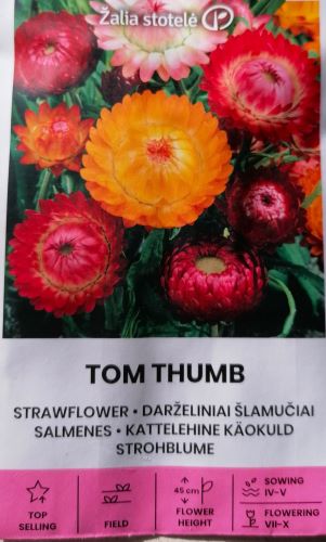 Strawflower Tom Thumb Seeds - Irish Plants Direct