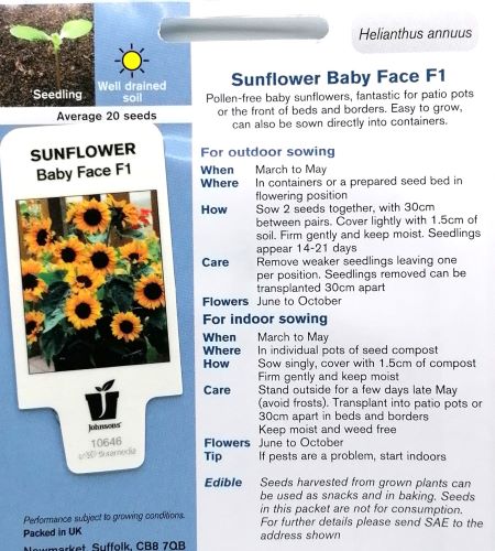 Sunflower Baby Face F1 Seeds - Irish Plants Direct