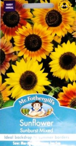 Sunflower Sunburst Mixed Seeds - Irish Plants Direct