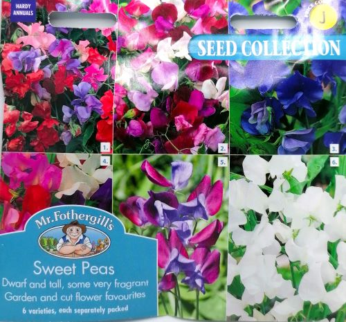 Sweet Pea Collection Seeds - Irish Plants Direct