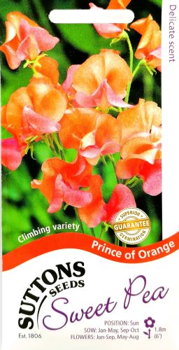 Sweet Pea Prince Of Orange Seeds - Irish Plants Direct