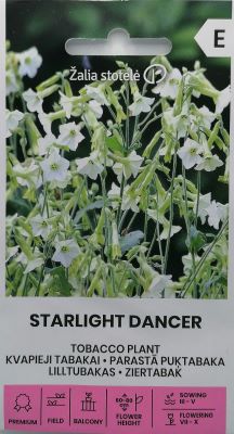 Nicotiana Starlight Dancer Seeds - Irish Plants Direct