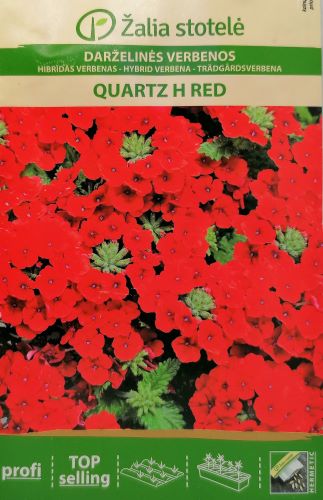 Verbena Quartz Red F1 Seeds - Irish Plants Direct