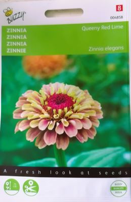 Zinnia Queeny Red Lime Seeds - Irish Plants Direct